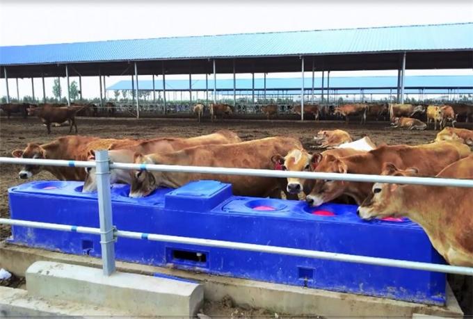 Contiuous Flow Automatic Plastic Cattle Drinking Troughs For Drinking ...